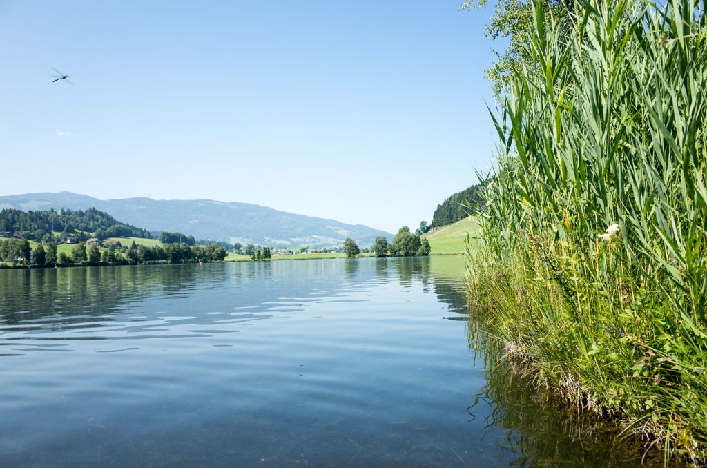 Bilder Galerie – Campingplatz Putterersee